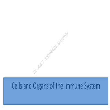 Cells and organs of the immune system | PPT