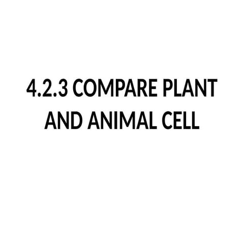 Comprehensive Comparison of Plant, Animal, Prokaryotic, and Eukaryotic ...