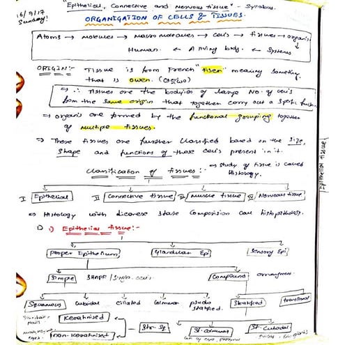 Cells and tissues written notes | PDF