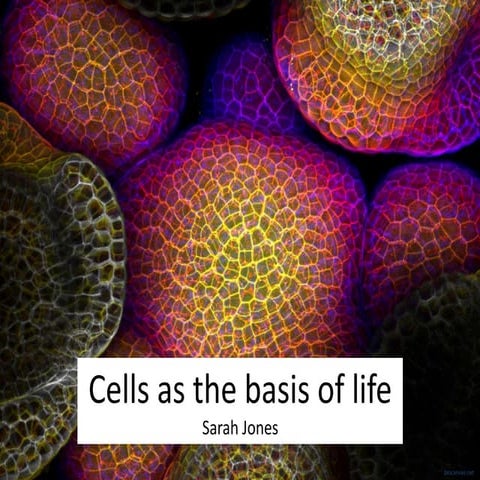 Cells as the basis of life | PPTX | Biological Sciences | Science