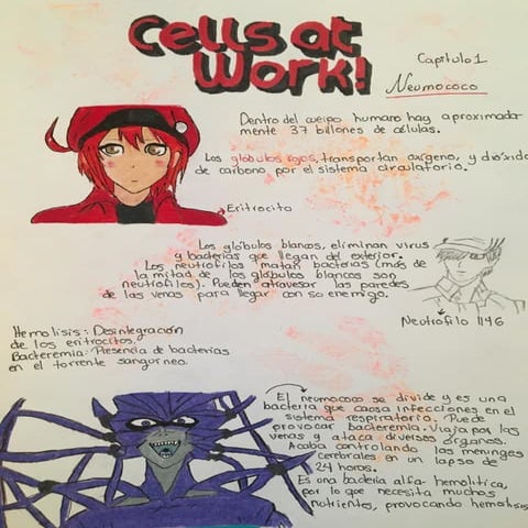 CELLS AT WORK.pdf