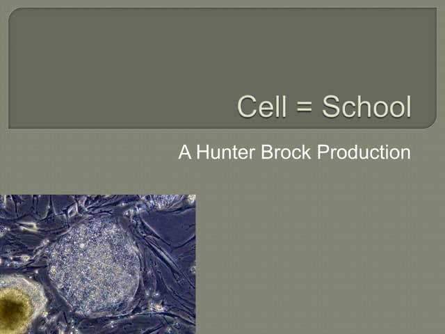 A Cell Is Like A School[1] | PPT