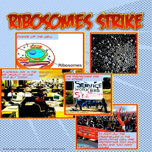 Cells comic life storyline 1 | PDF