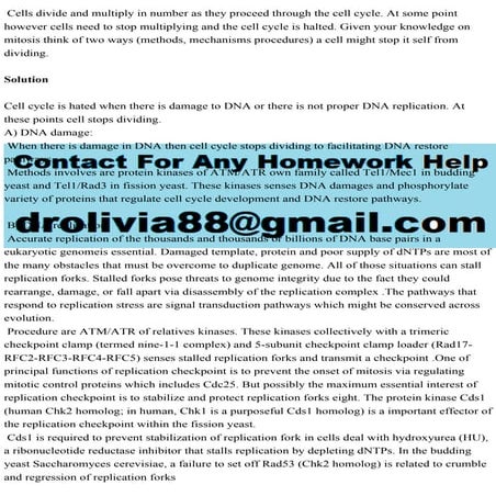 DNA Replication Stress | PPTX
