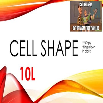 Cell shape 7th | PPTX