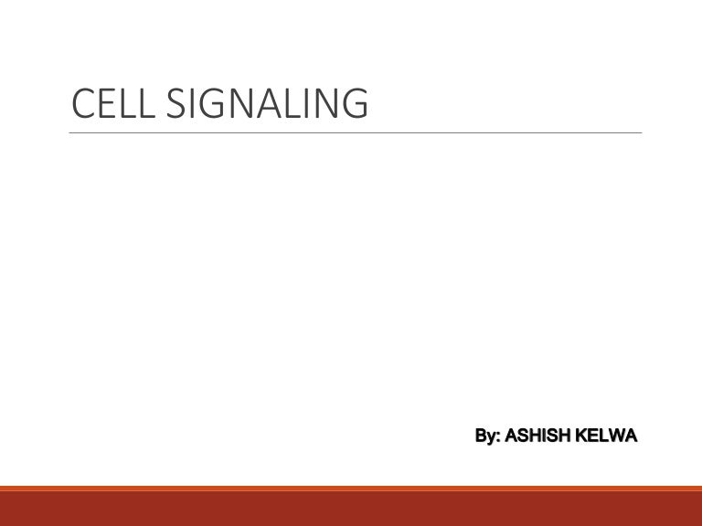 Cell Signal Powerlaha