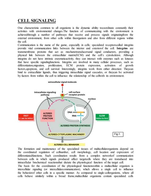 General principles of cell communication | DOCX