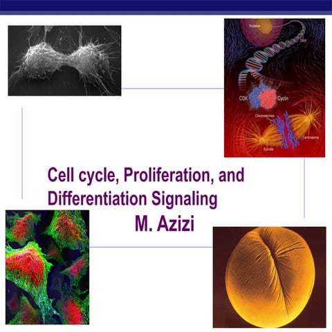 Cell cycle and regulation | PPTX