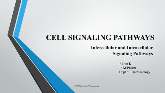 Intercellular and intracellular cell signaling pathway | PPTX ...