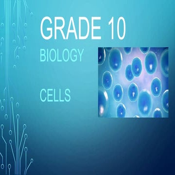 cells in biology | PPT