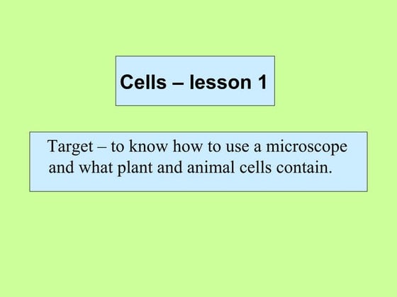 Onion Cell Experiment under the Microscope | DOCX | Biological Sciences ...