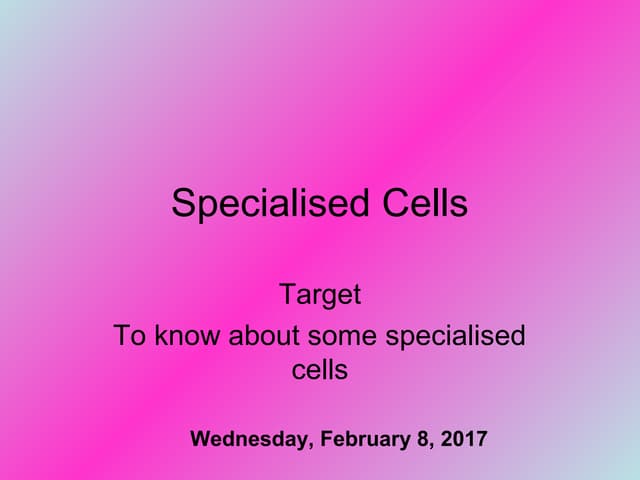 Cells-and-Organisation-L4-Specialised-Cells-PowerPoint.pptx