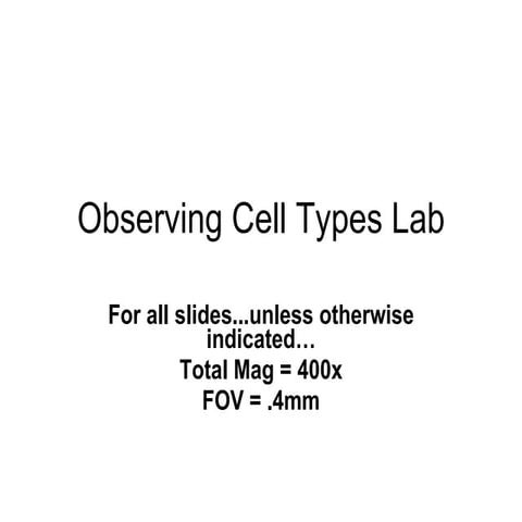 Cell Slides | PPT