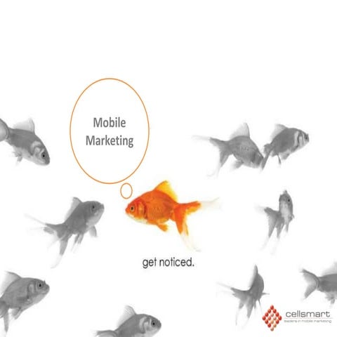 Cellsmart Agency Presentation | PPTX