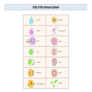 Cells of the Immune System 120722.pptx immunology | PPTX