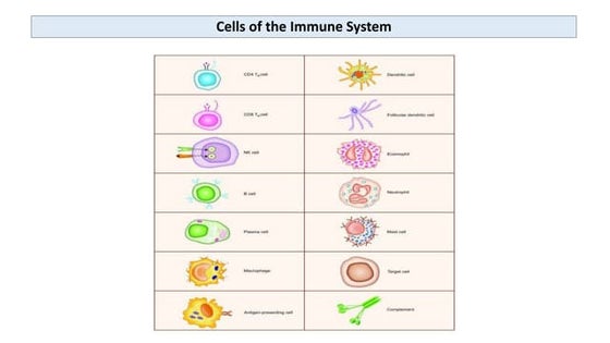 Macrophages and Biomaterials.pptx