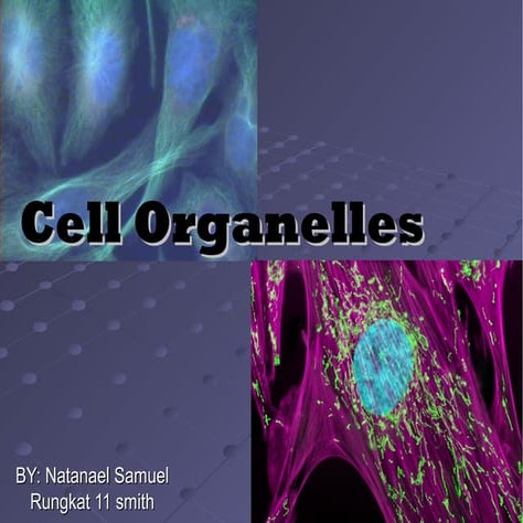 Cell Organelles | PPT