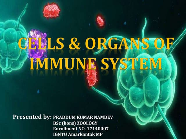 Cells of Immune System - Microbiology Exam Point of View | PPTX