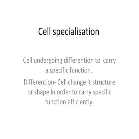 Cell specialisation in plant (biology form 4) | PPT