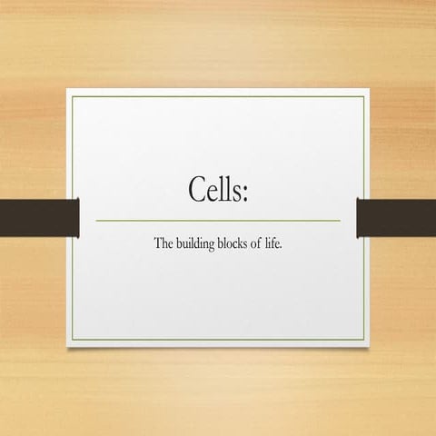 Cells structure for biology lessons .ppt