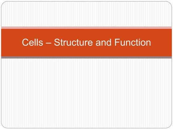 Chapter 7.2 inside the eukaryotic cell | PPTX