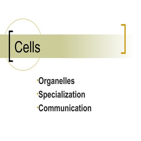 The Cells its structure and its function.ppt