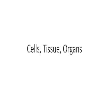 Cells, Tissues and Organs International GCSE Biology | PPT