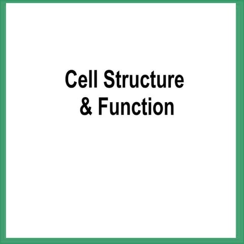 cell structure. and its function in detail | PDF