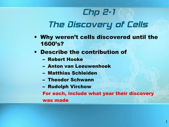 Plant and Animal Cells | PPTX