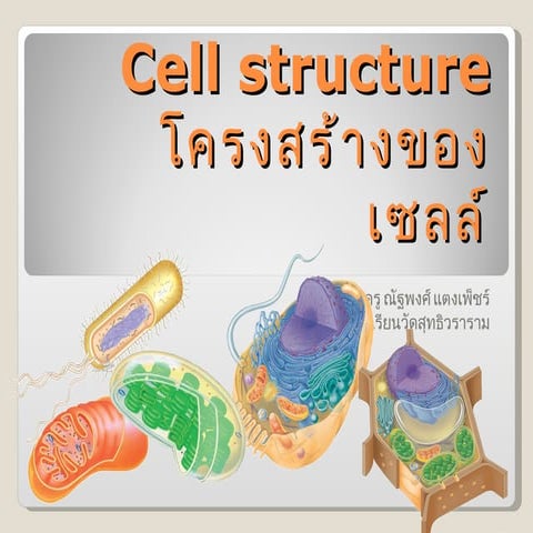 Cell structure | PPT