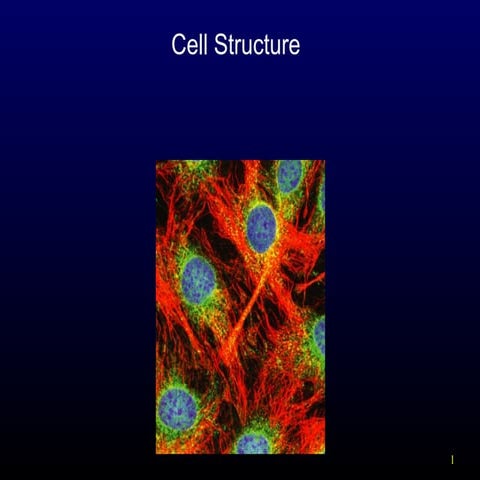 Cell structure | PPT