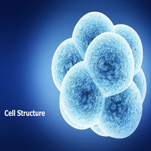 Cell structure | PPT