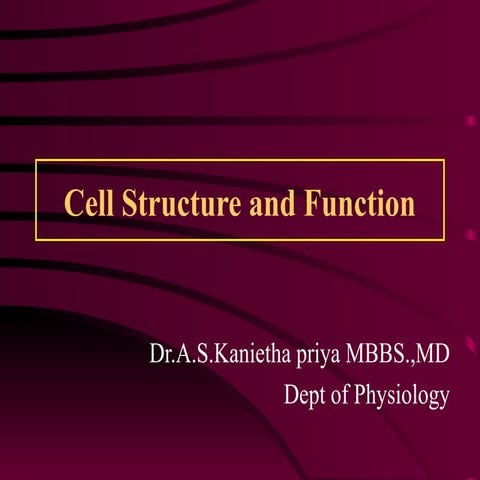 Cell Structure,FUNCTIONS,TRANSPORT,ACTIVE,PASSIVE | PPT