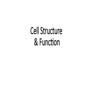 Cell Structure: A Detailed Study of the Organization and Functions of ...