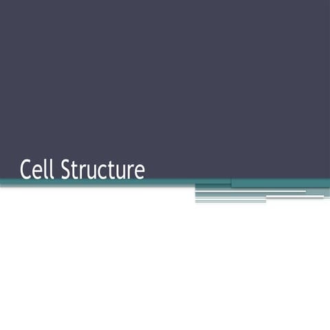 Cell Structure and Organelles Slides PPT | PPTX