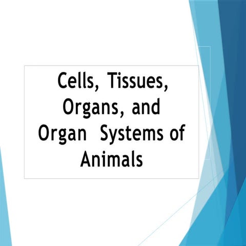 Cell Structure and Cellular Components.pptx