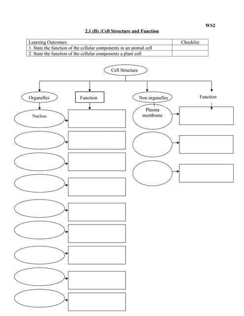Biology unit 2 cells organelle notes template worksheet | PPT
