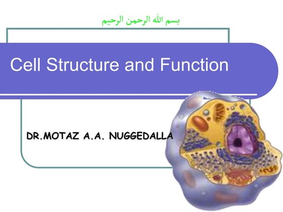 Ultra structure of plant cell (1) | PPTX