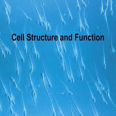 Cell Structure and Function. Anatomy and Physiology | PPTX