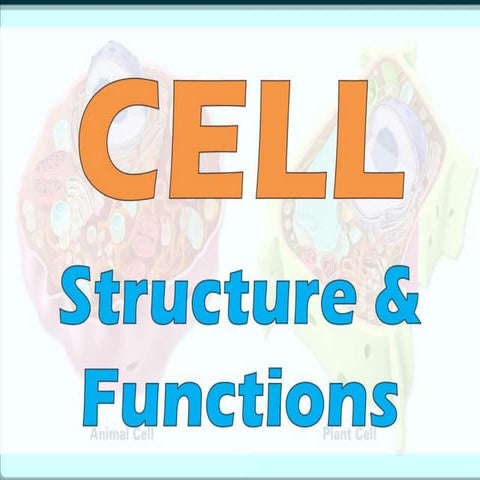 Cell structure and functions | PPT