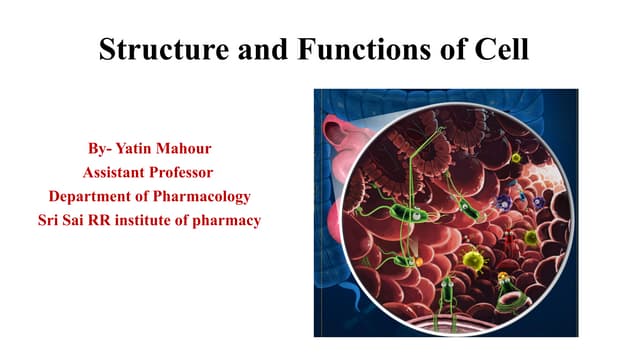 stages of cellular respiration for students.pptx | Biological Sciences | Science