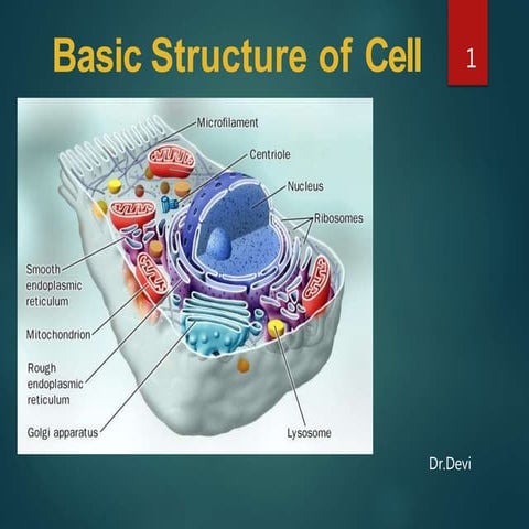 Histology- Cell structure | PPTX