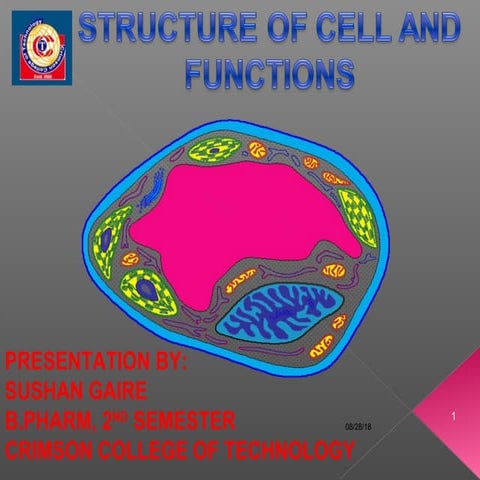Cell structure function | PPT