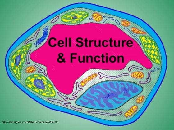 Cell Structure & Function | Cambridge IGCSE Biology | PDF