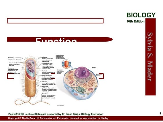 A level Biology - Cells, Viruses and Reproduction of Living Things | PPTX | Biological Sciences ...