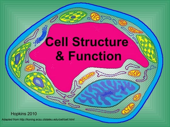Cell Structure & Function | Cambridge IGCSE Biology | PDF