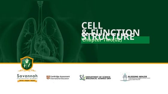 Cell Structure & Function | Cambridge IGCSE Biology | PDF