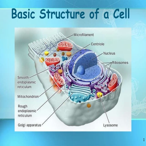 Cell structure lecture | PPT
