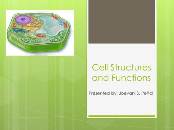 BACTERIAL CELL QUIZ ( Bacterial Cell Type, Parts and Functions) | PPT