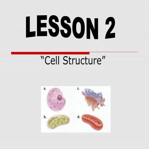 Cell structures lesson2 | PPT